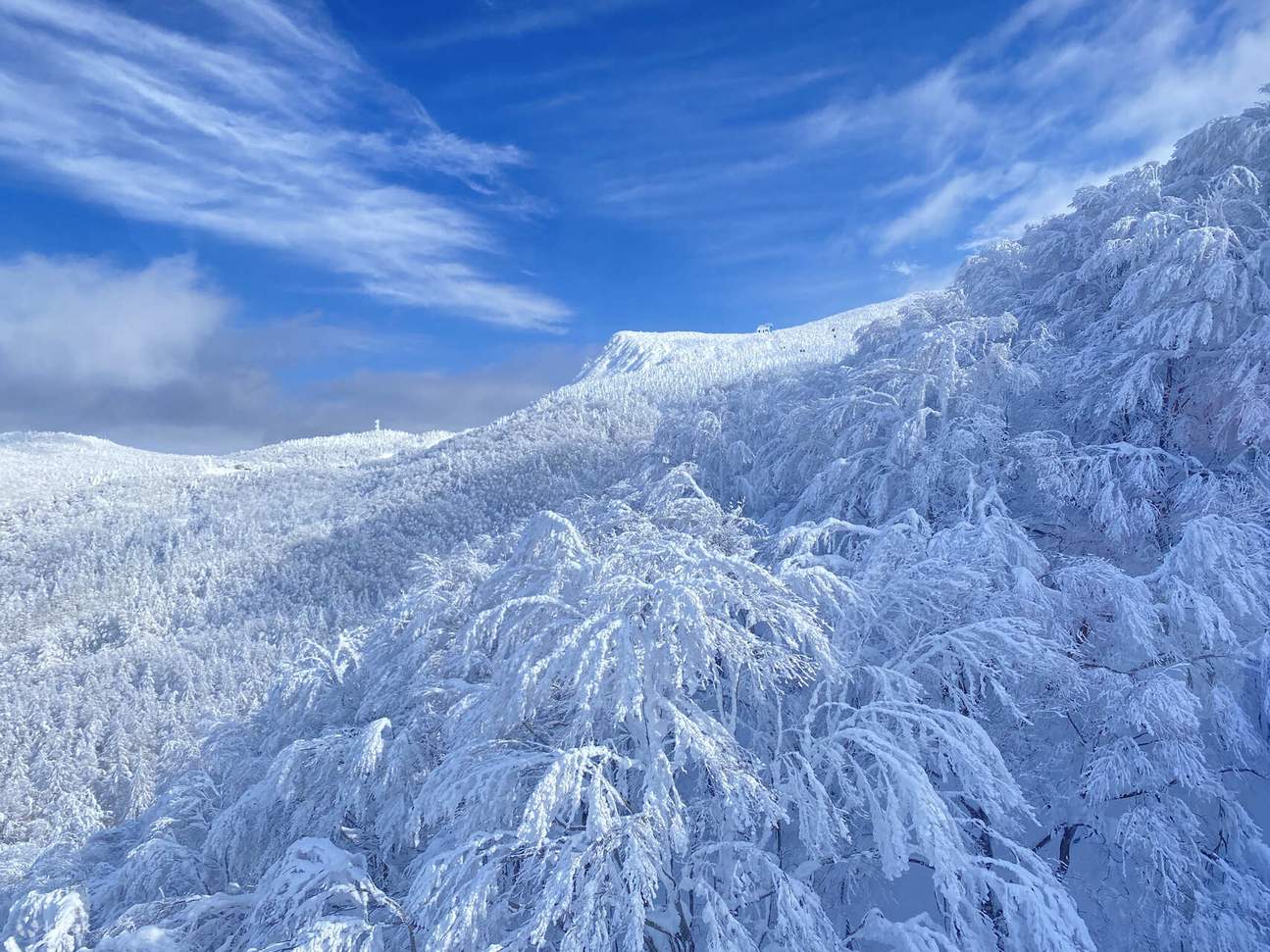 [Group/Charter] Mt. Ginzan Onsen + Zao Snow Monsters + Fox Village: Exclusive Small Group Day ...